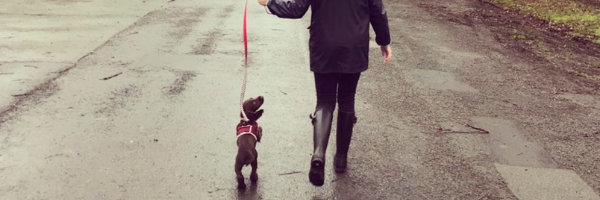 Introducing Swoof. – Swoof.