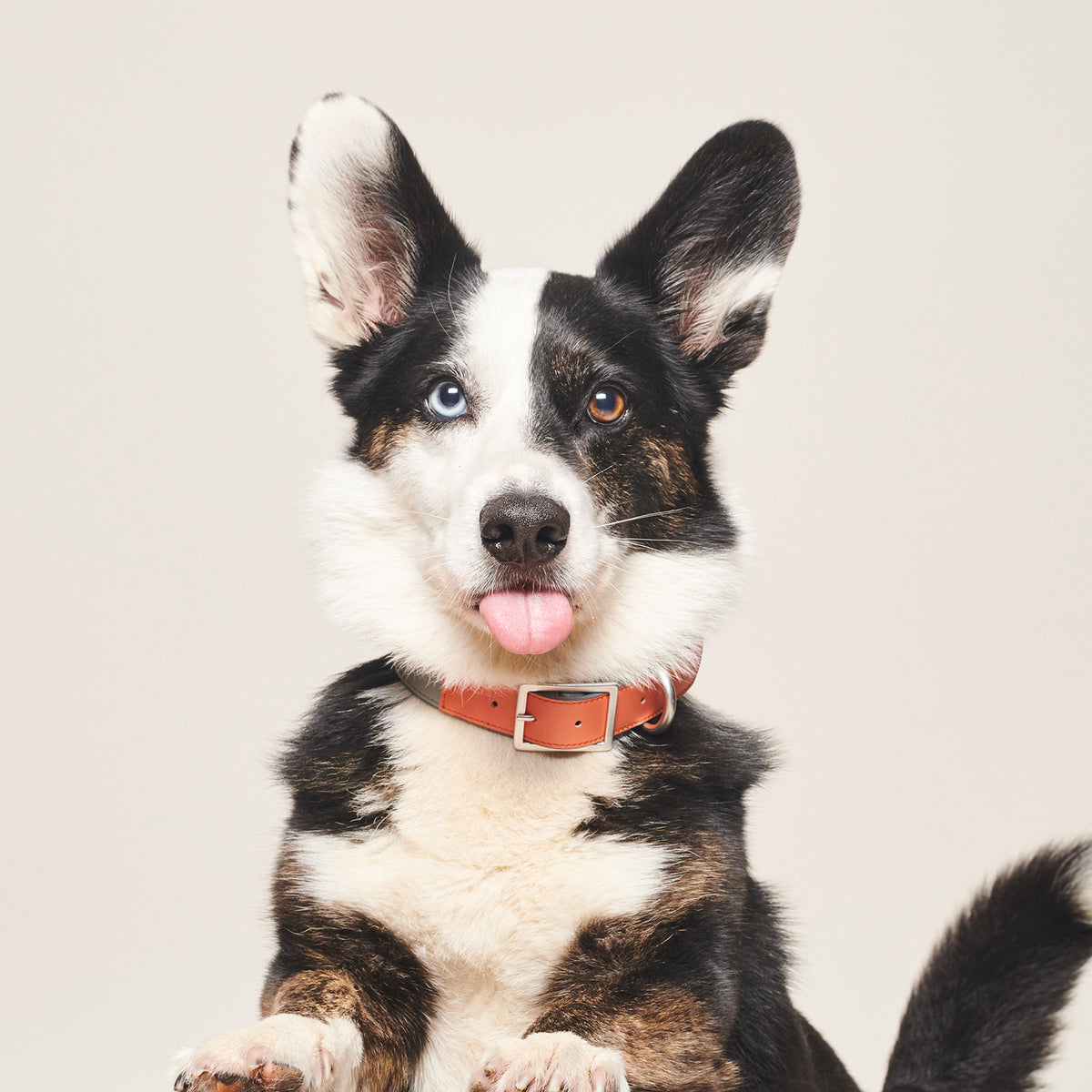 SHOP ALL. – Swoof.