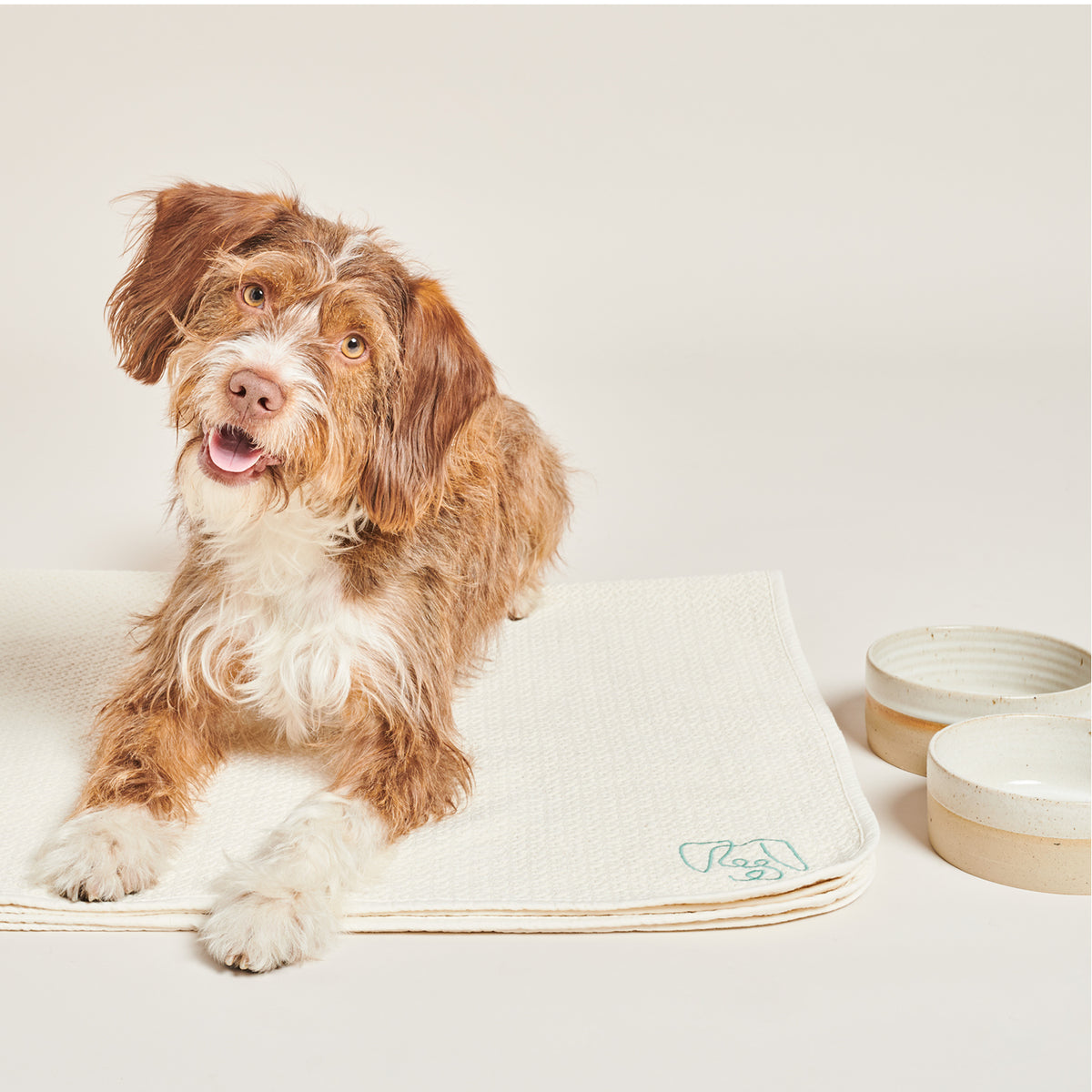 Bowls & Treats – Swoof.