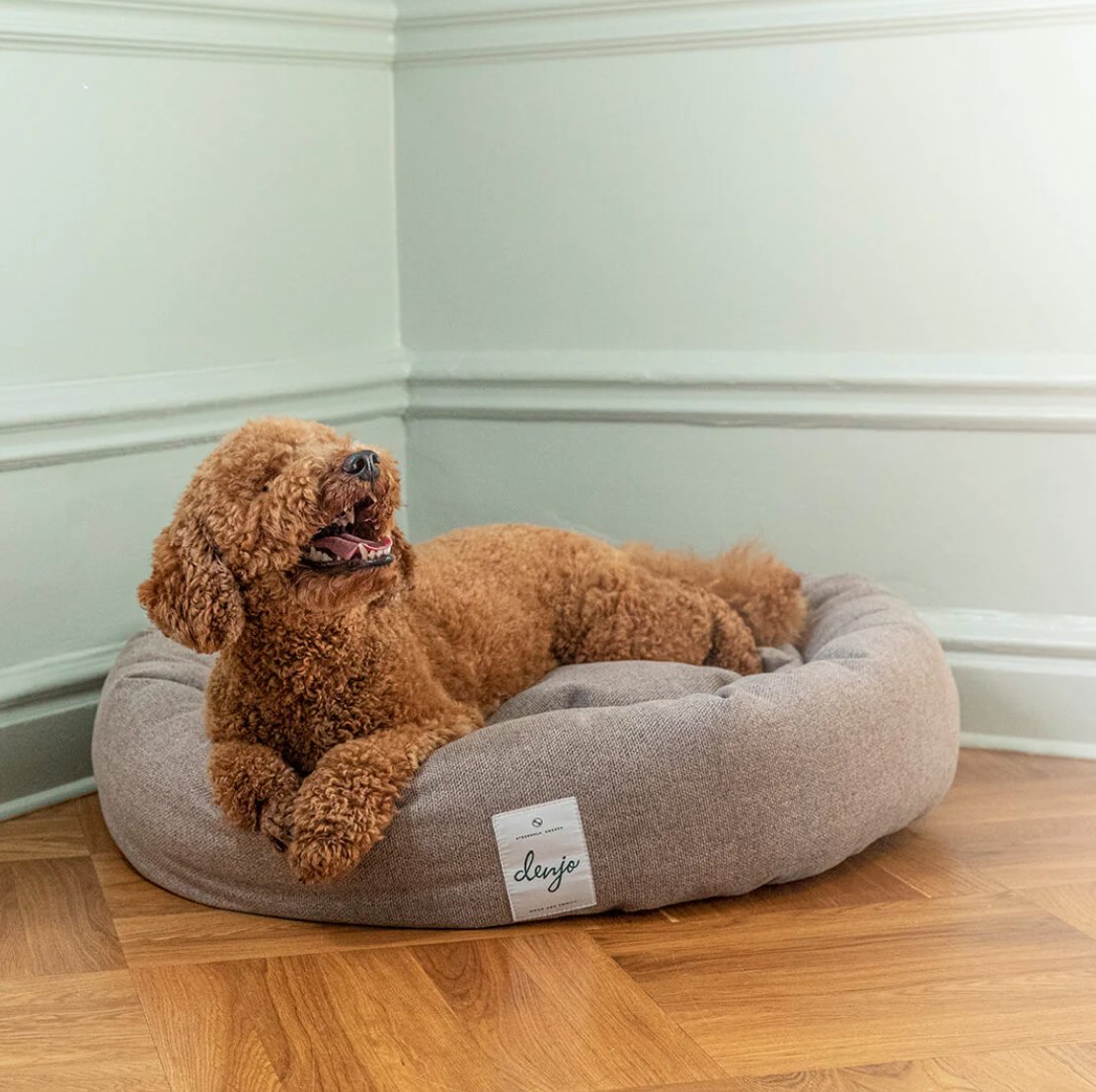 Beds & Blankets – Swoof.