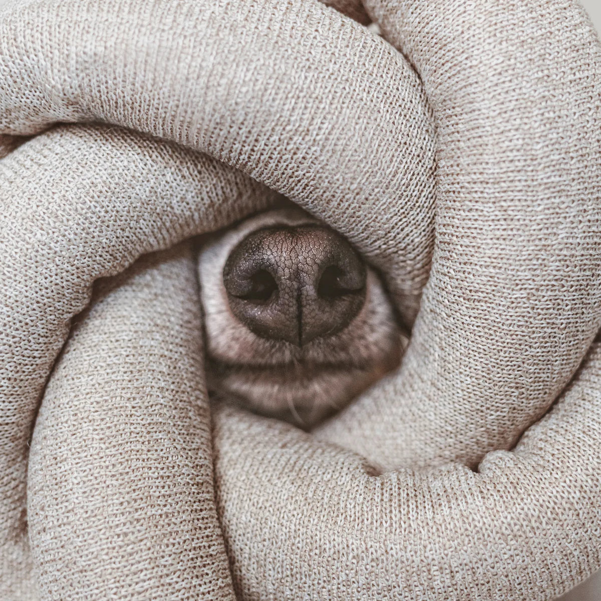 Nou | Grey Toy with Crinkle Clusters – Swoof.